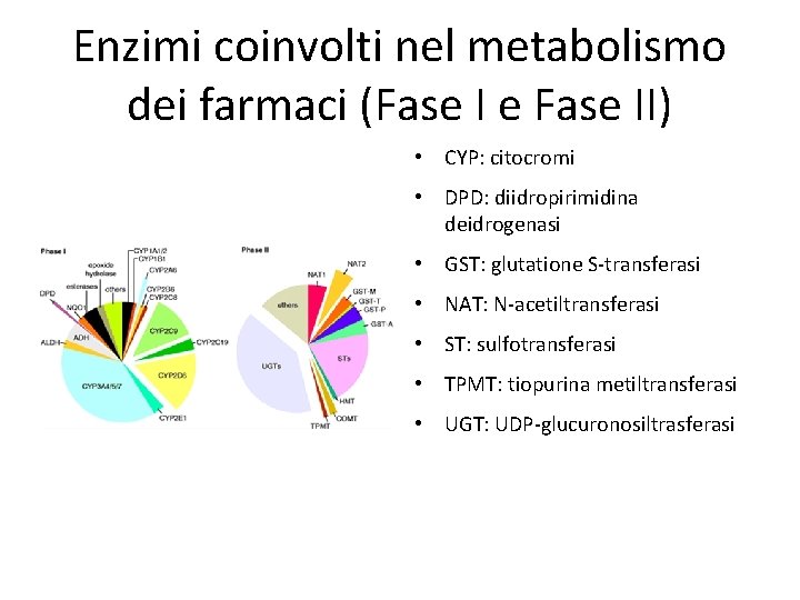 Enzimi coinvolti nel metabolismo dei farmaci Fase I
