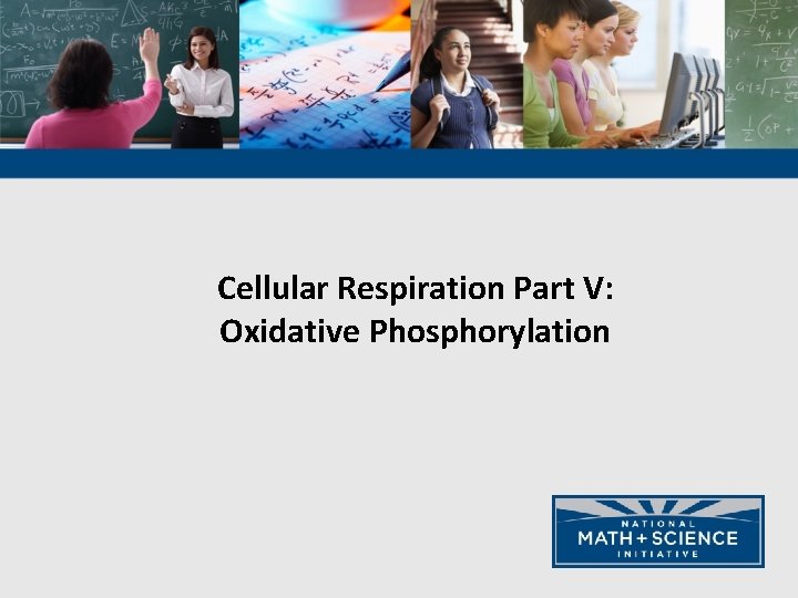 Cellular Respiration Part V Oxidative Phosphorylation Figure 9