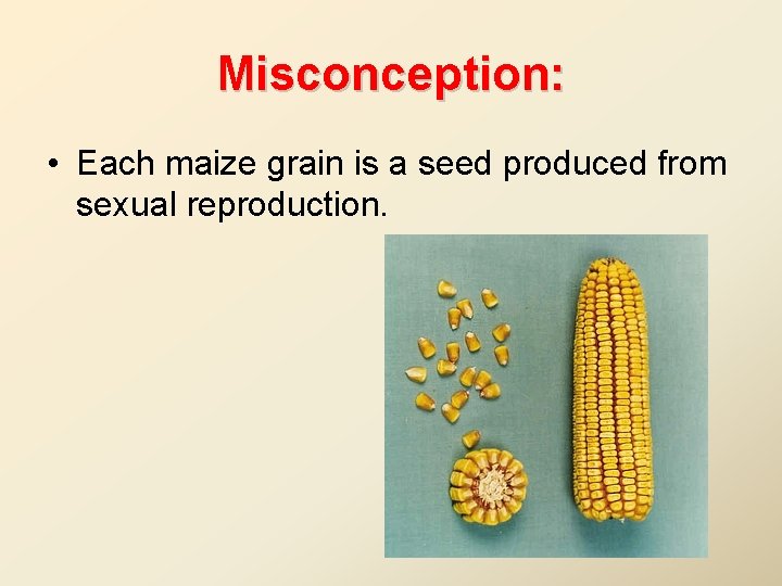 Common misconceptions in Biology Reproduction and development Misconception