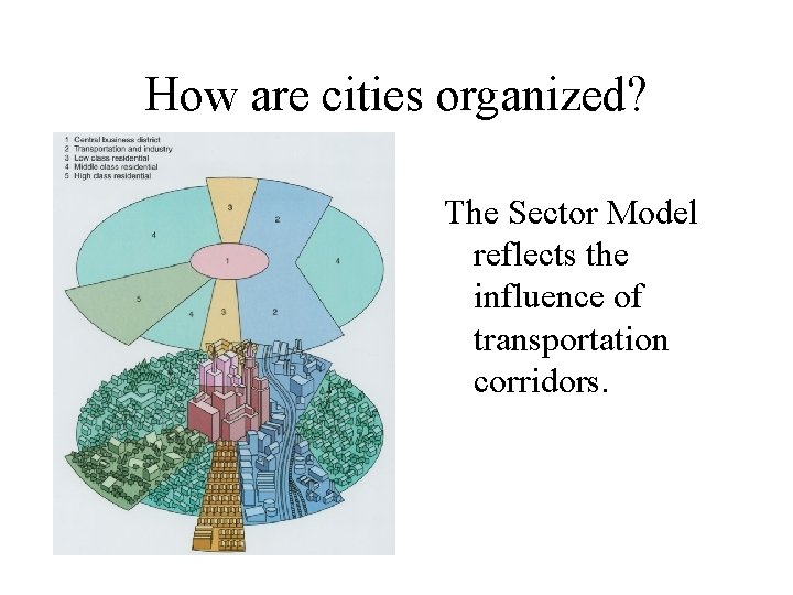 Urban Geography Where are cities located and why