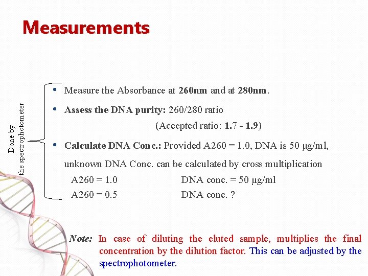 DNA Extraction and Purification Lab Equipment Vortex Automatic
