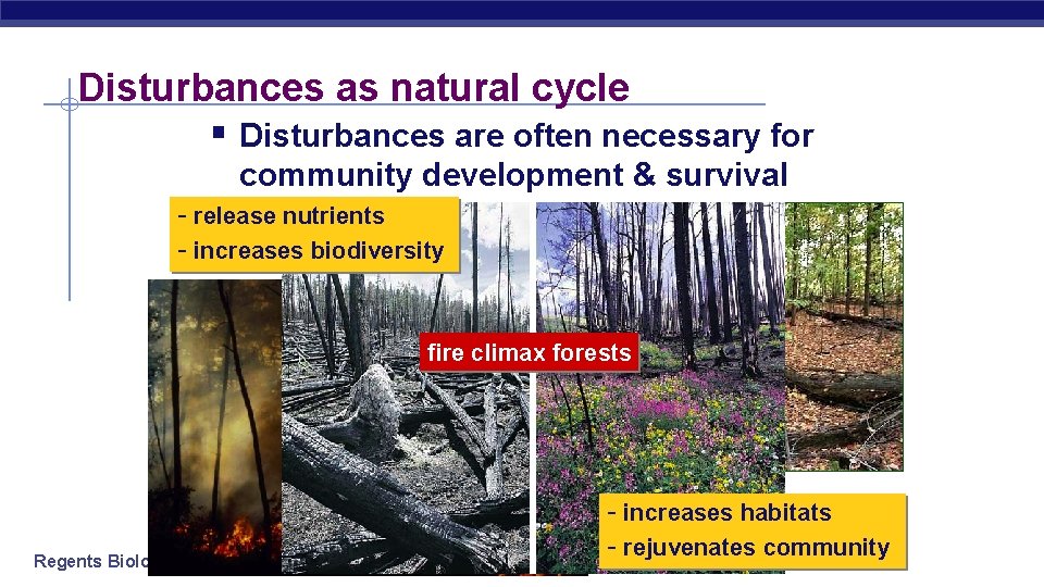 Nutrients cycle through decomposers consumers decomposers producers ...