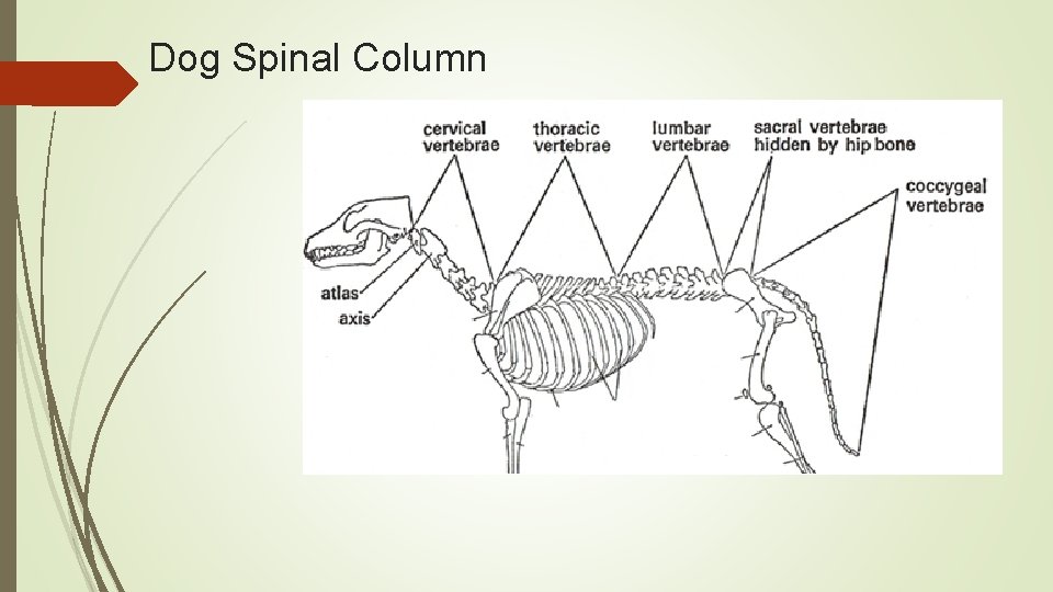 Biology Intro to unit Biology Teacher email emma