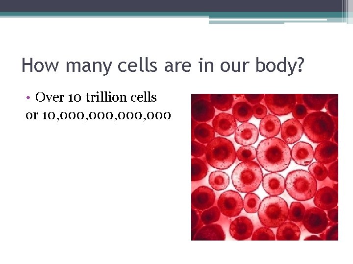 Quick Review 1 What is the difference between