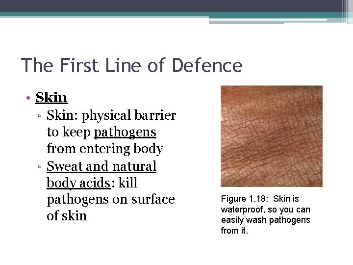 Quick Review 1 What is the difference between
