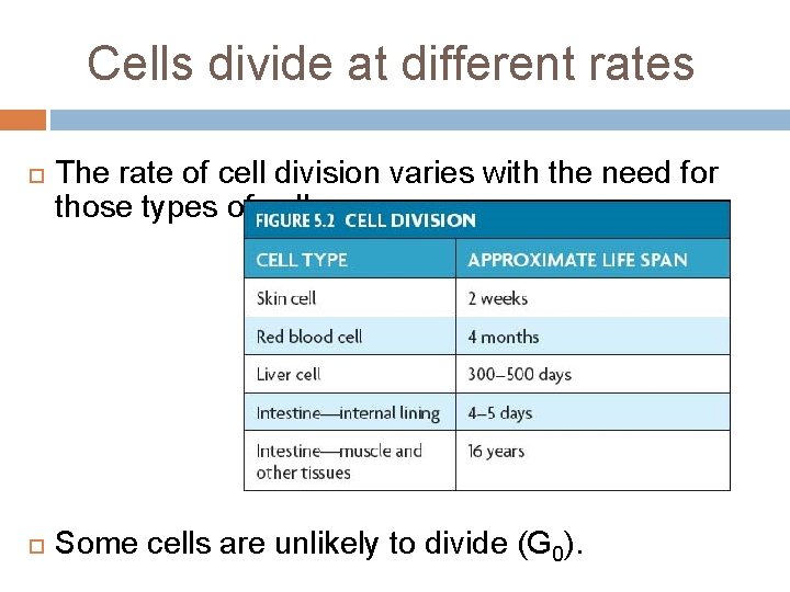 CELL GROWTH AND REPRODUCTIO N SECTION 5 1
