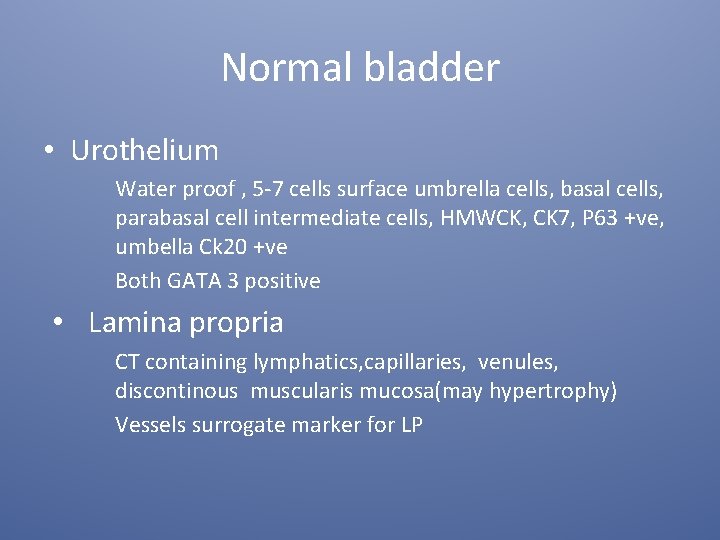 Bladder Biopsy Pathology Dr David Paterson Musgrove Park
