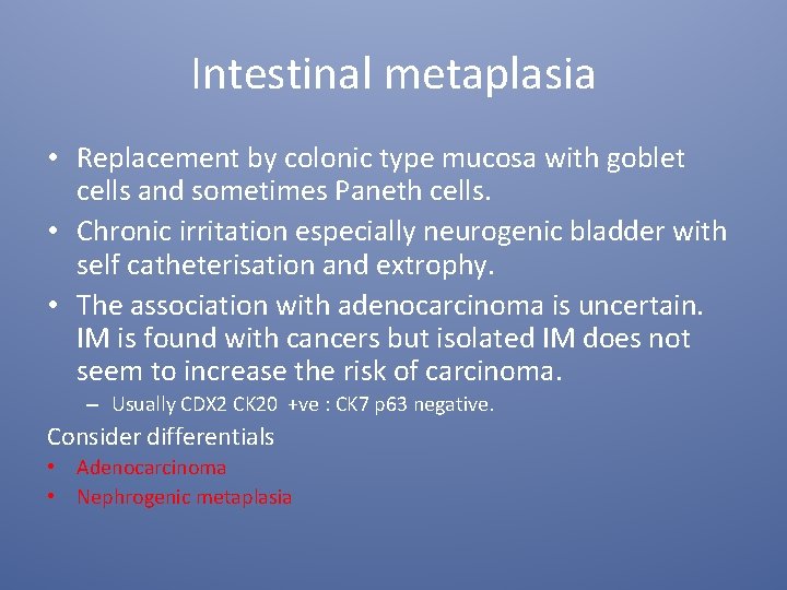 Bladder Biopsy Pathology Dr David Paterson Musgrove Park