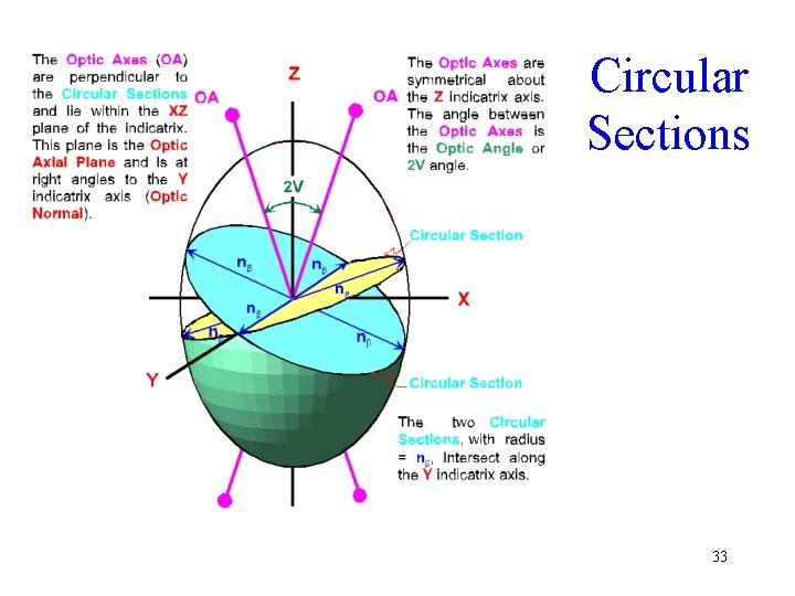 Optical Indicatrix GLY 4200 Fall 2019 D L