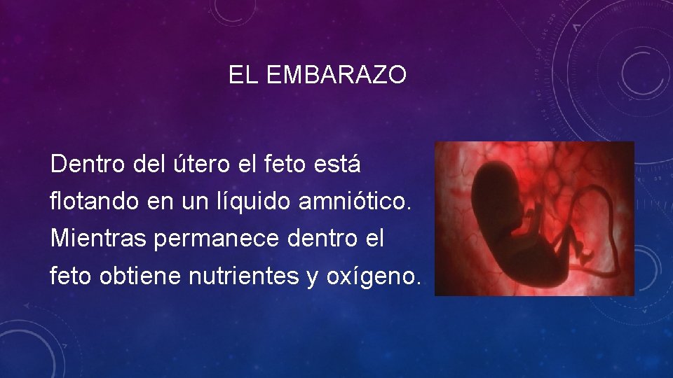 EL EMBARAZO QU ES EL EMBARAZO Es el