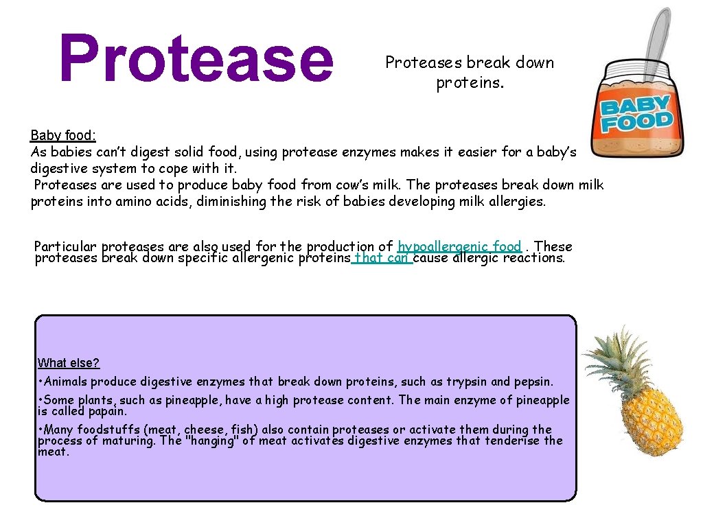 Proteases break down proteins Baby food As babies