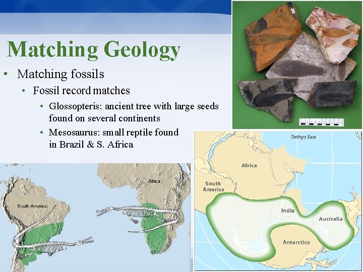 Chapter 4 PLATE TECTONICS A Revolution in Geology