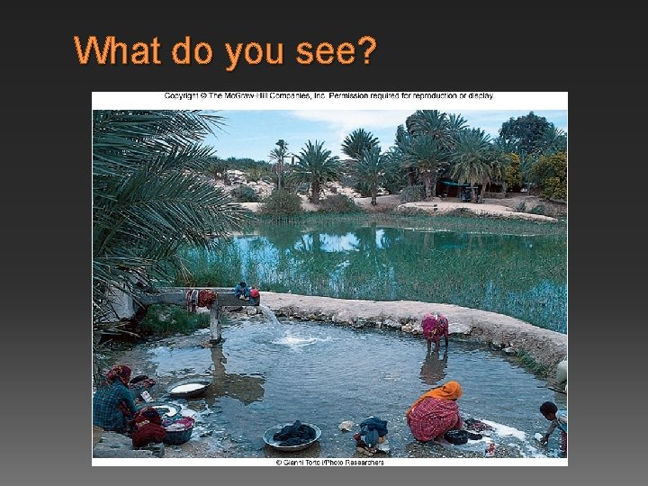 Epidemiology Chapter 20 What do you see Principles