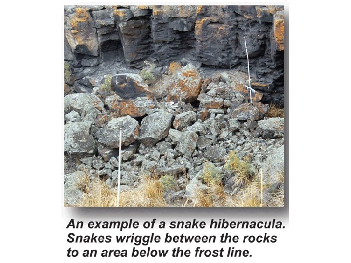 Biology Unit C From Life to Lifestyle Science