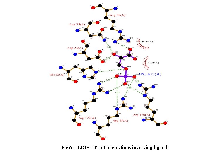 Enzyme review Made by Pisarev Vladimir Common Name