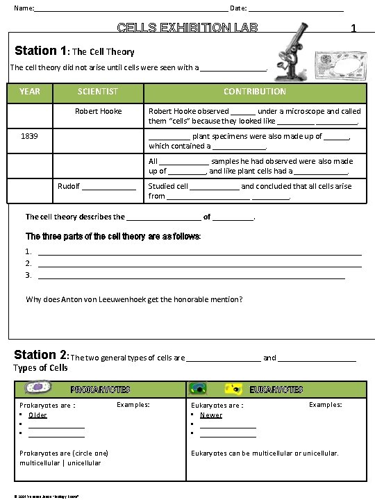 Name Date 1 CELLS EXHIBITION LAB Station 1
