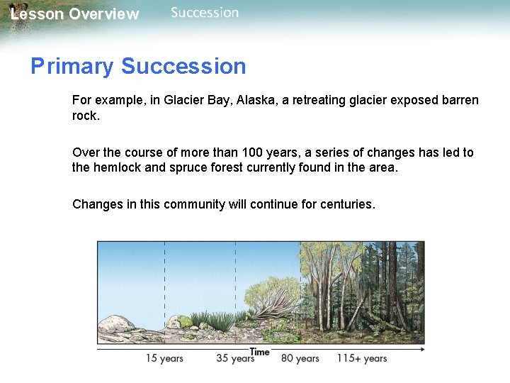Lesson Overview Succession Lesson Overview 4 3 Succession