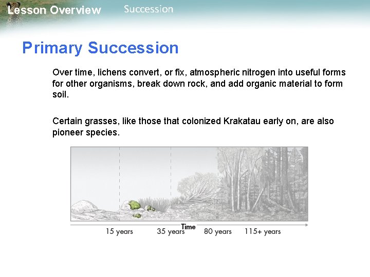 Lesson Overview Succession Lesson Overview 4 3 Succession