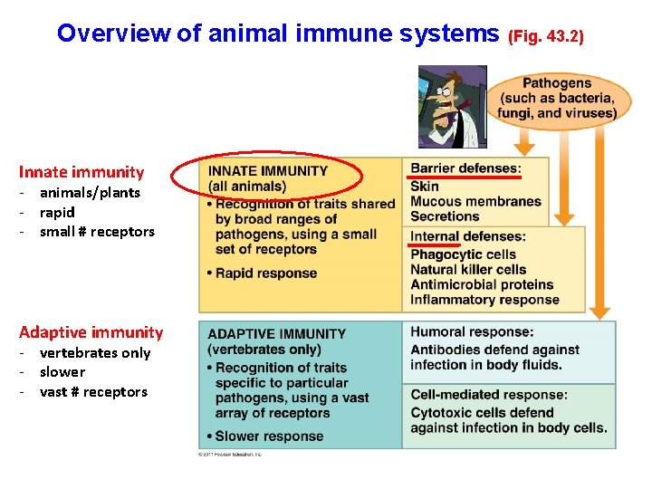 Biochemistry Microbiology and Immunology January 7 2022 Week