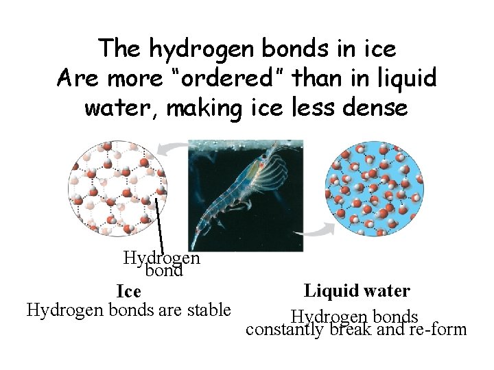 My Chemical Romance How Chemicals Bond together Vocabulary