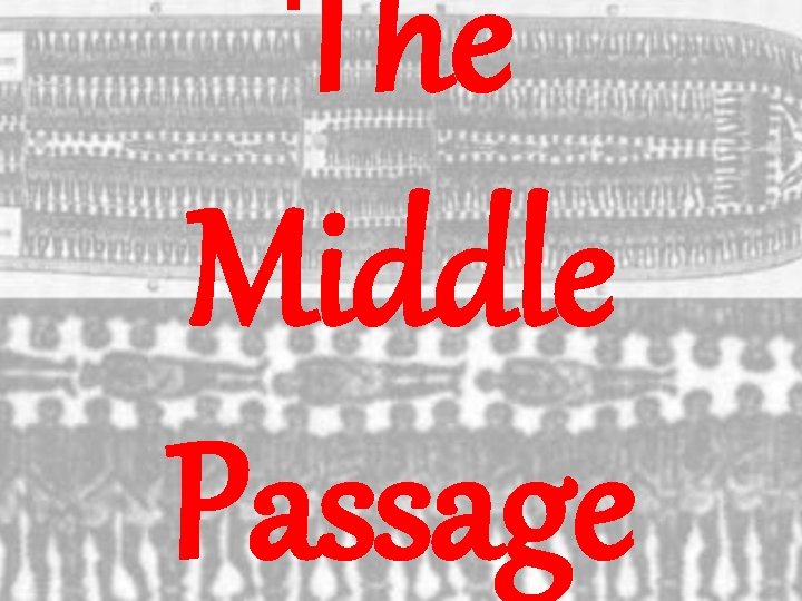 The Middle Passage Middle Passage Following capture slaves