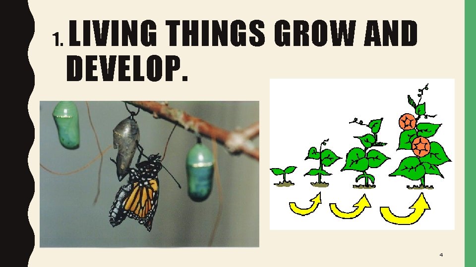 CHARACTERISTICS OF LIFE BEFORE YOU REVIEW THIS POWER