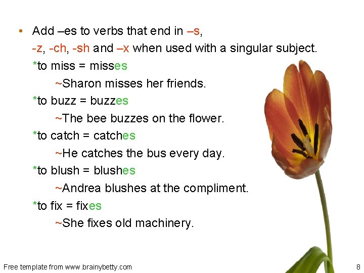 Verbs A Quick Review 1 Action Verbs Action
