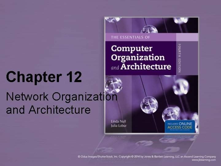 Chapter 12 Network Organization and Architecture Chapter 12