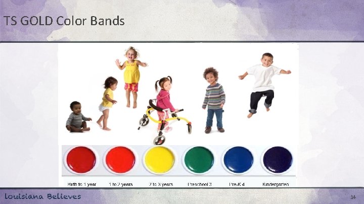 Do You See What I See Using Assessments