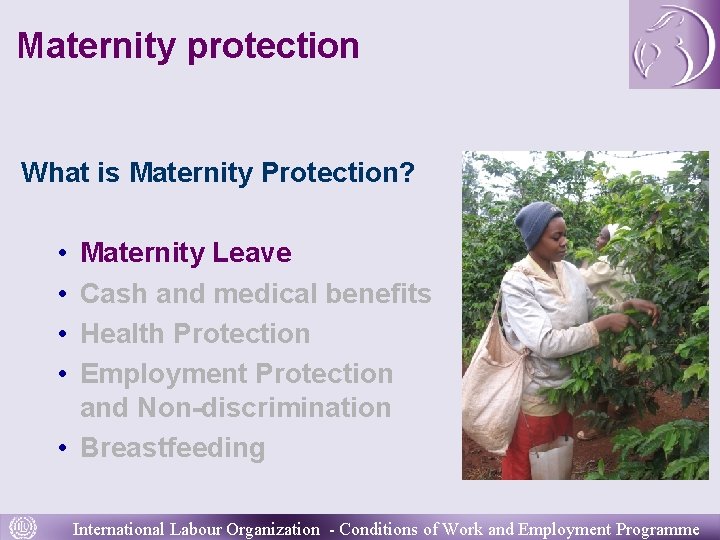 Key Elements of Maternity Protection at Work Benedetta