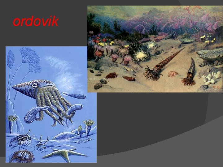 PRVOHORY A DRUHOHORY Prvohory Vyznauj sa rozvojom ivota