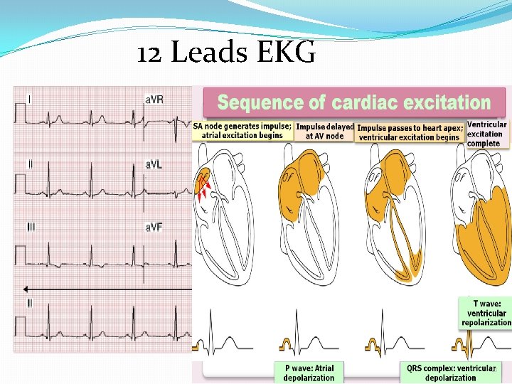 Cardiovascular System Block Cardiac Arrhythmias Physiology Ahmad Hersi