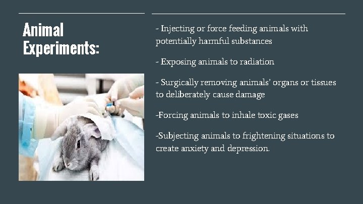 Animal Testing Jeremy Sigua Aiden Fu Natalie Yick