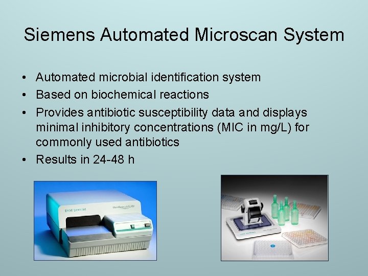 Investigating Antibiotic Susceptibility Profile Variation between E coli