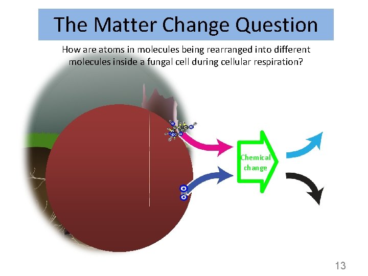 Carbon Transformations in Matter and Energy Environmental Literacy