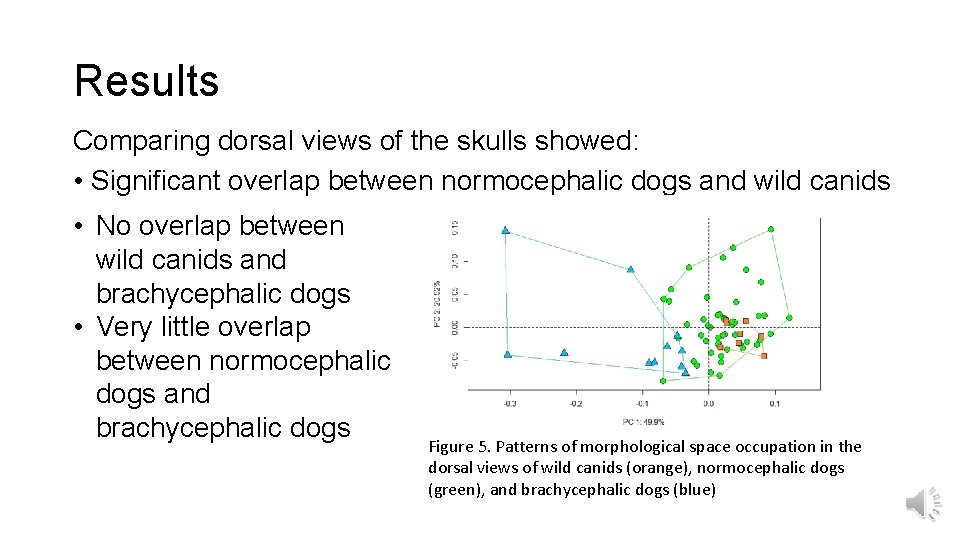 CRANIAL SHAPE VARIATION IN CANIS A COMPARISON BETWEEN