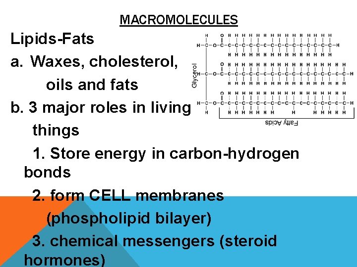 UNIT BIOCHEMISTRY WHAT ARE THE STRUCTURES AND FUNCTIONS