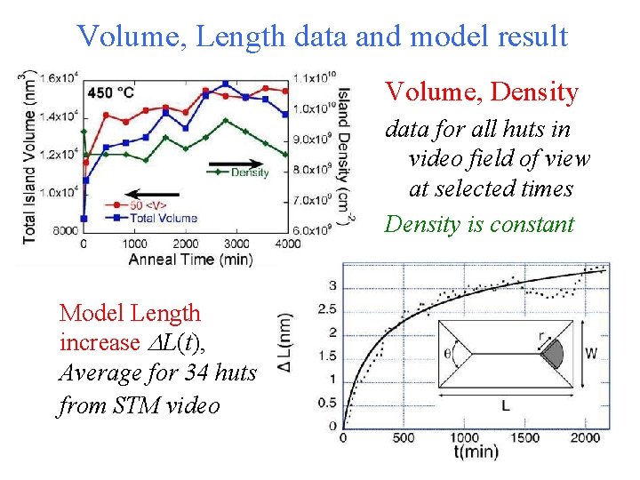 Modeling Facet Nucleation and Growth of hut clusters