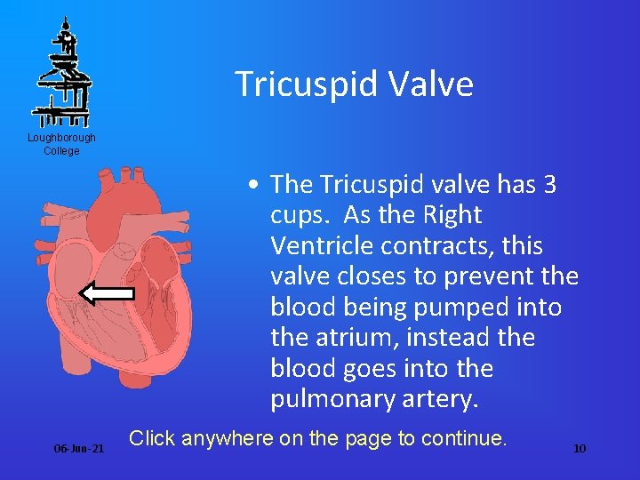 Loughborough College The Structure of the Heart Click