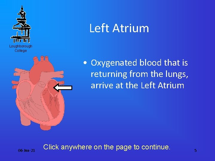 Loughborough College The Structure of the Heart Click