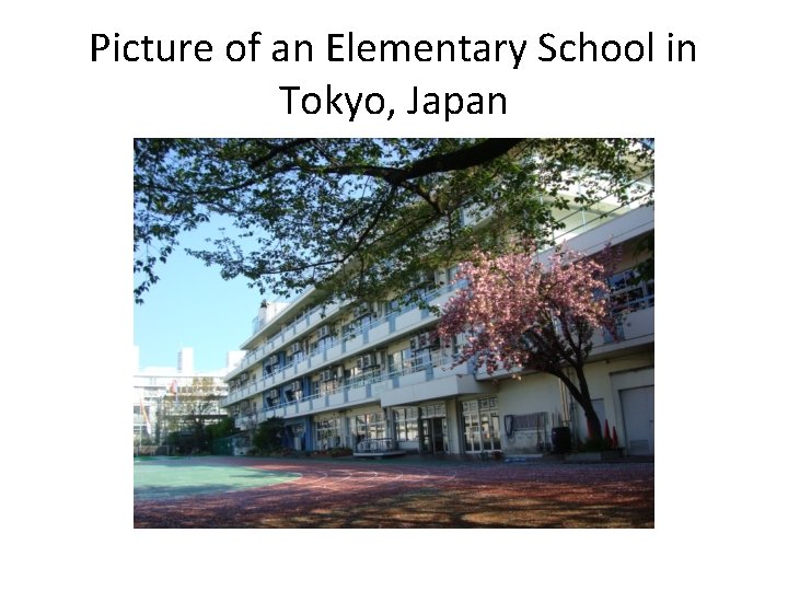 Fun Facts about going to school in Tokyo