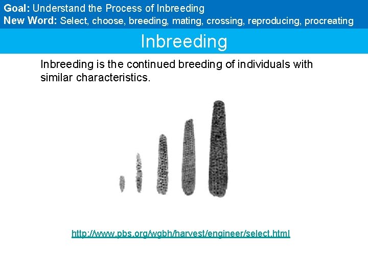 Biotechnology is the combination of technology and biological