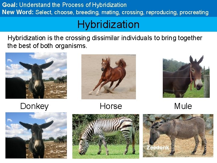 Biotechnology is the combination of technology and biological