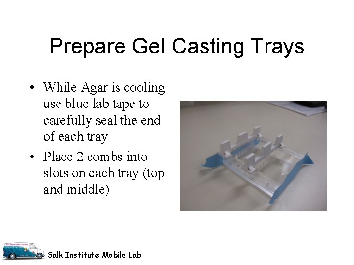 Gel Electrophoresis Teacher Instructions Bio Rad Set Up
