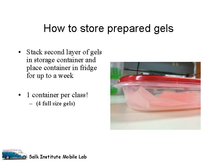 Gel Electrophoresis Teacher Instructions Bio Rad Set Up