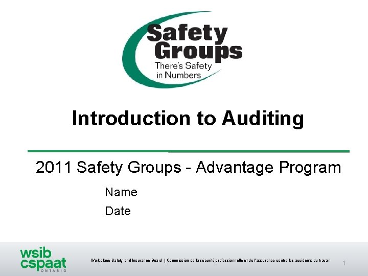 Introduction to Auditing 2011 Safety Groups Advantage Program