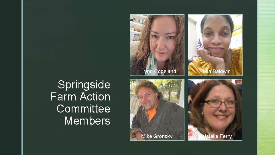 z HIGH BRIDGE BOROUGH z Springside Farm Action