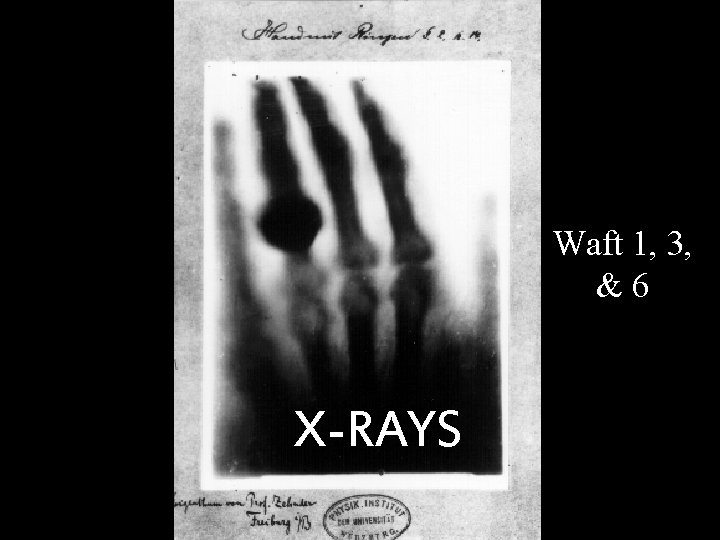 Waft 1 3 6 XRAYS On a fine