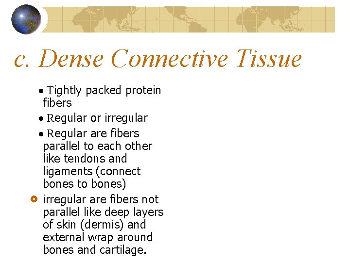 II Connective Tissue Supports and protects body parts