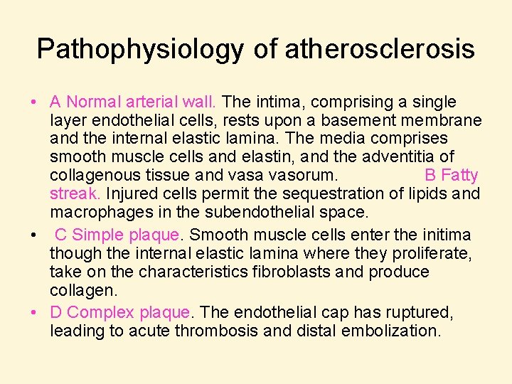 Pathophysiology of atherosclerosis A Normal arterial wall The